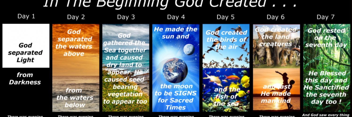 What is the purpose in God’s Creation? – Light for the Last Days