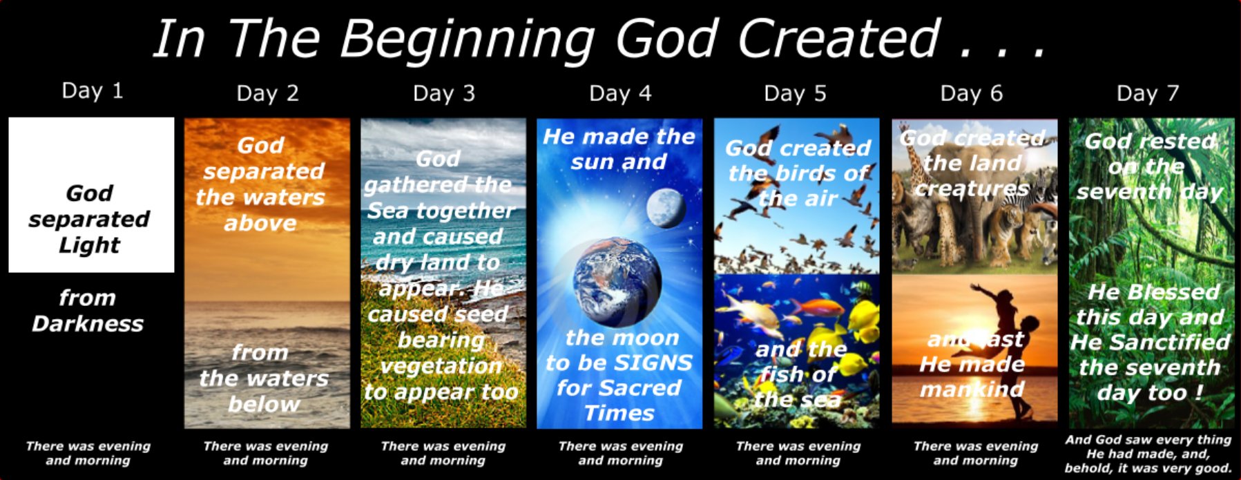 What is the purpose in God’s Creation? – Light for the Last Days