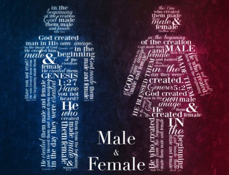 What is the purpose in God’s Creation? – Light for the Last Days